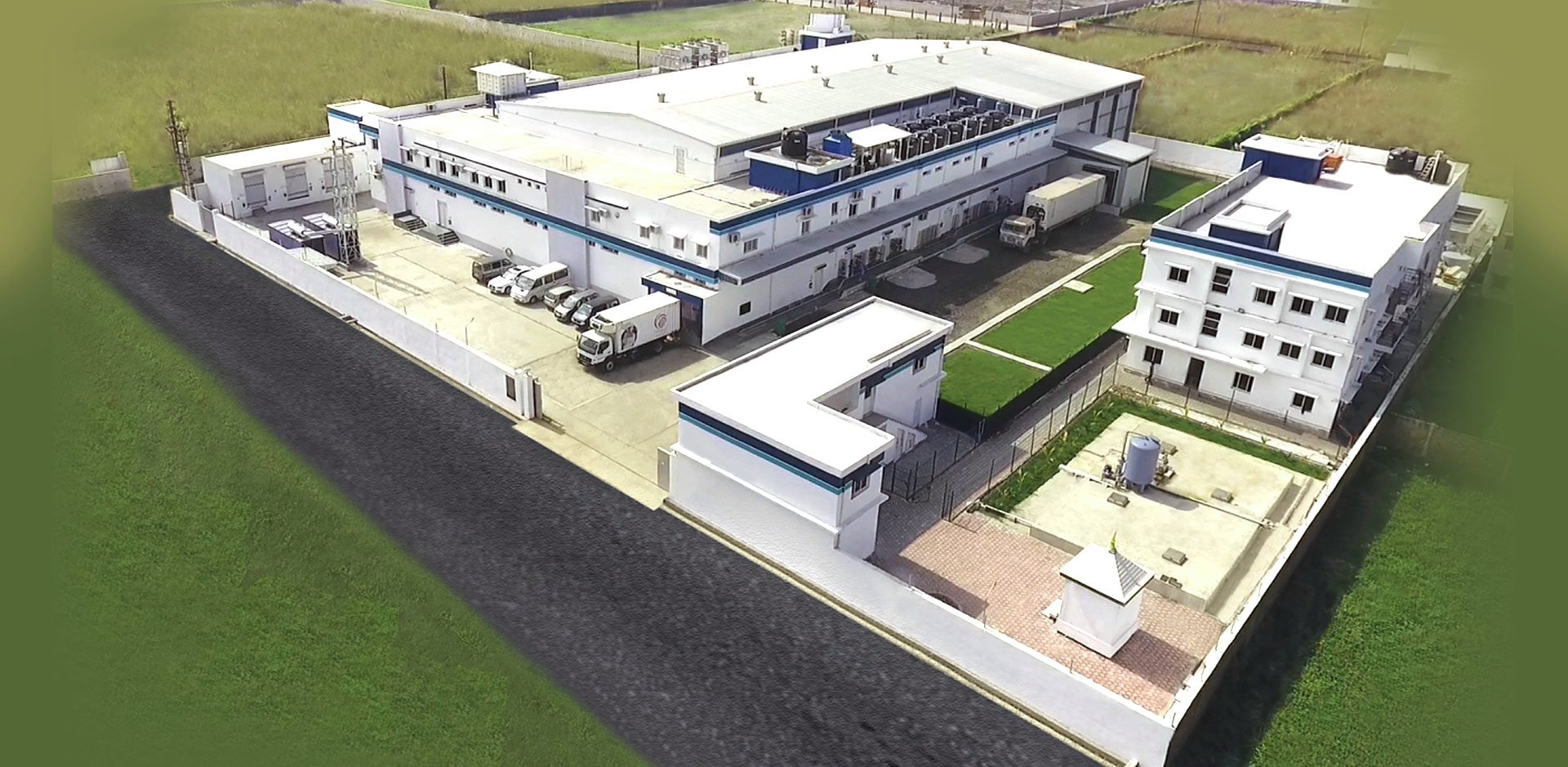 Processors and Exporters of Shrimps and Prawns in India